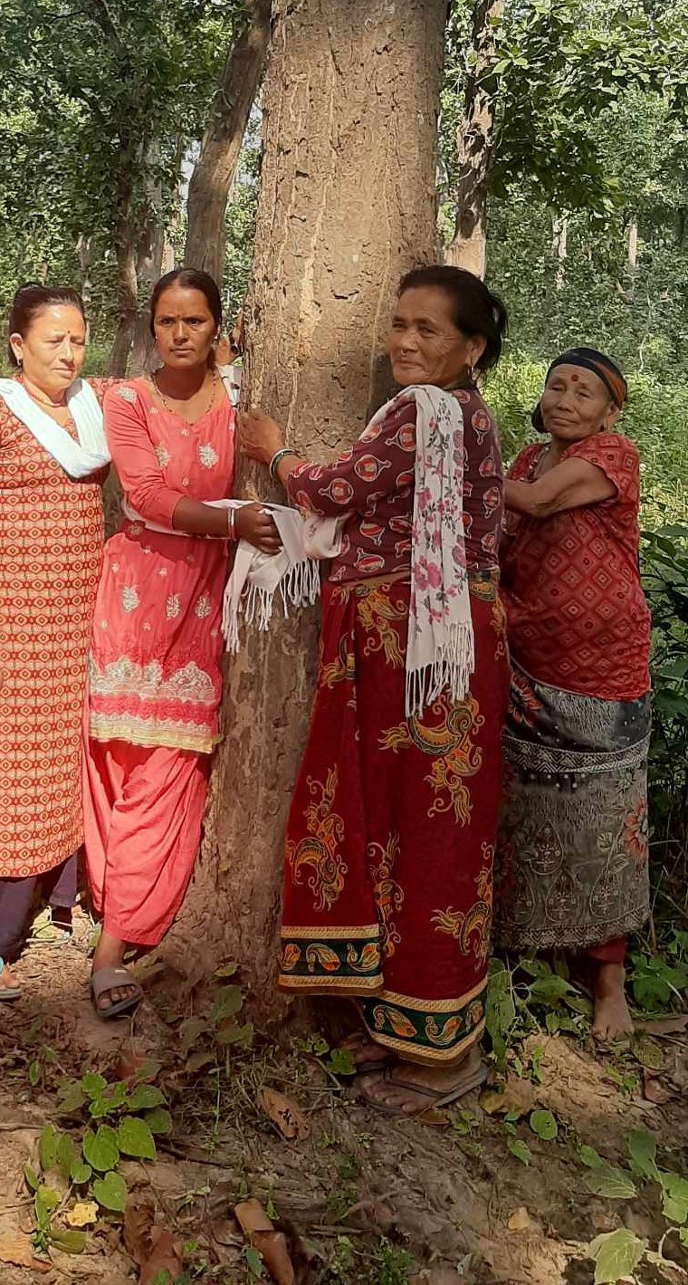 Hugging Trees - Chipko Protest - Action Toolkit